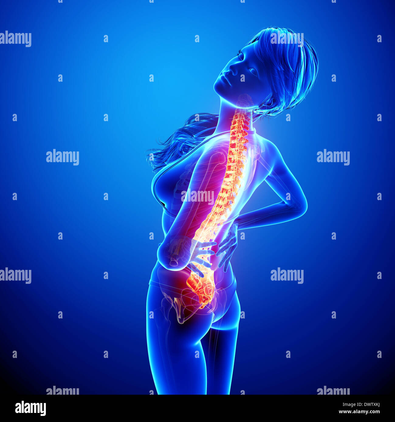 14 year old girl drawing hi-res stock photography and images - Alamy