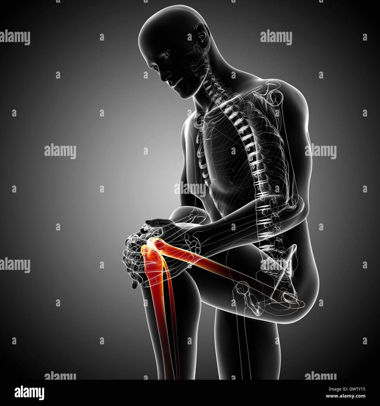 Pain knee man drawing hi-res stock photography and images - Alamy