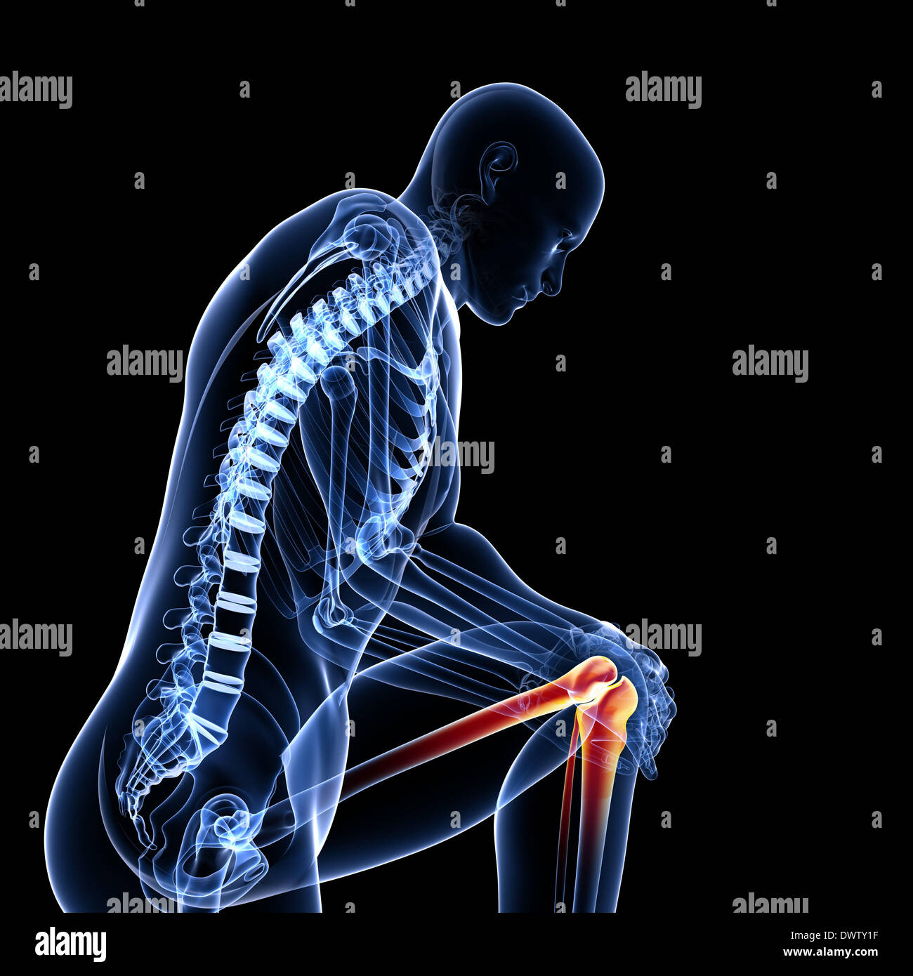 Pain knee man drawing Stock Photo - Alamy