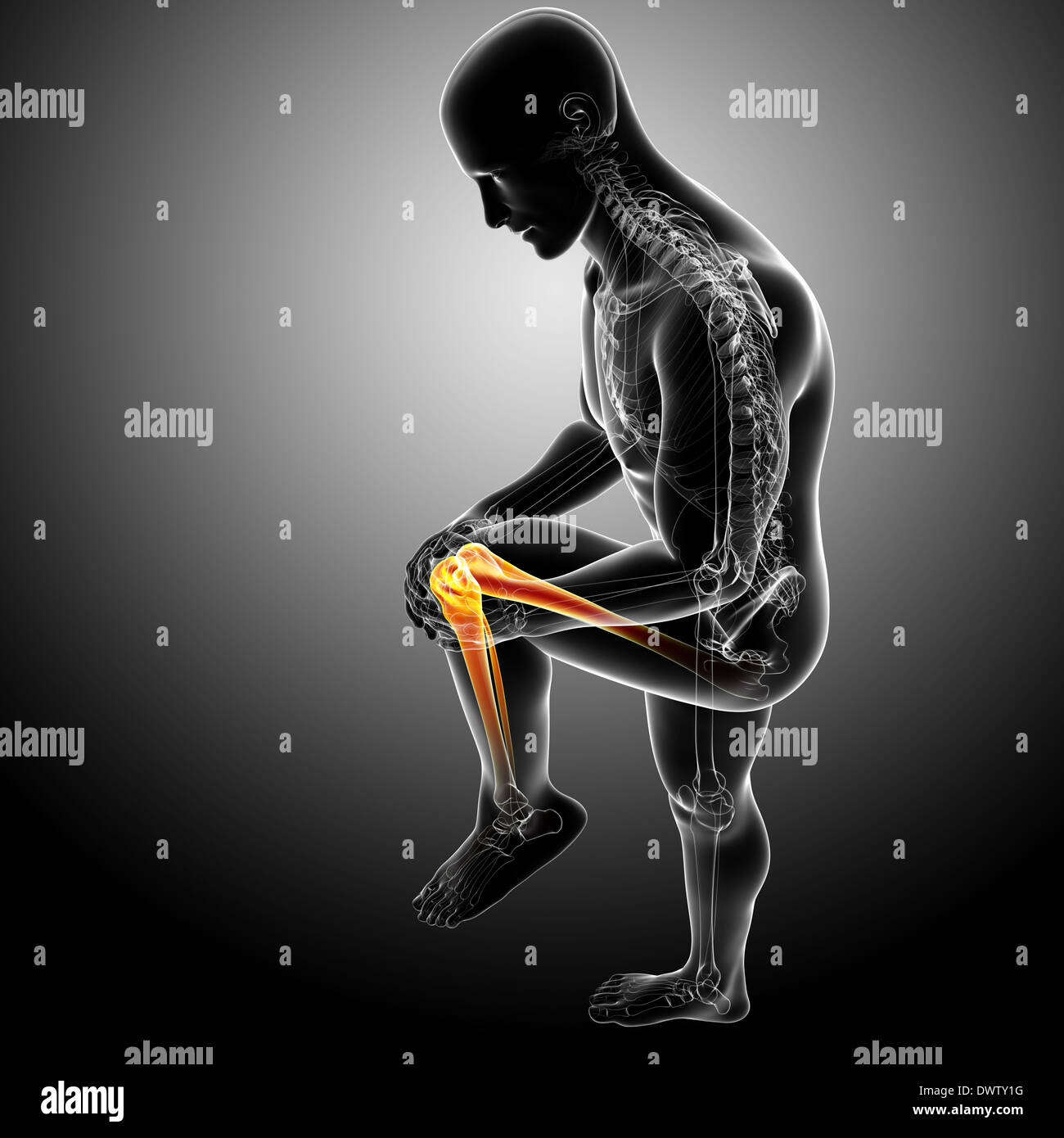 Pain knee man drawing Stock Photo - Alamy