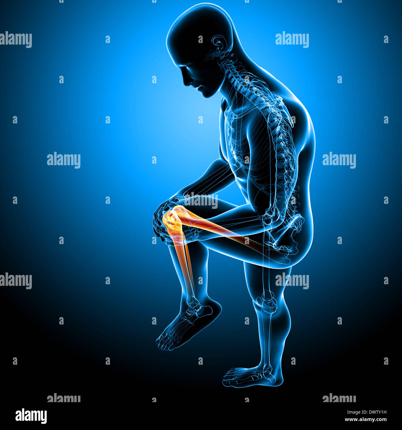 Pain knee man drawing Stock Photo - Alamy