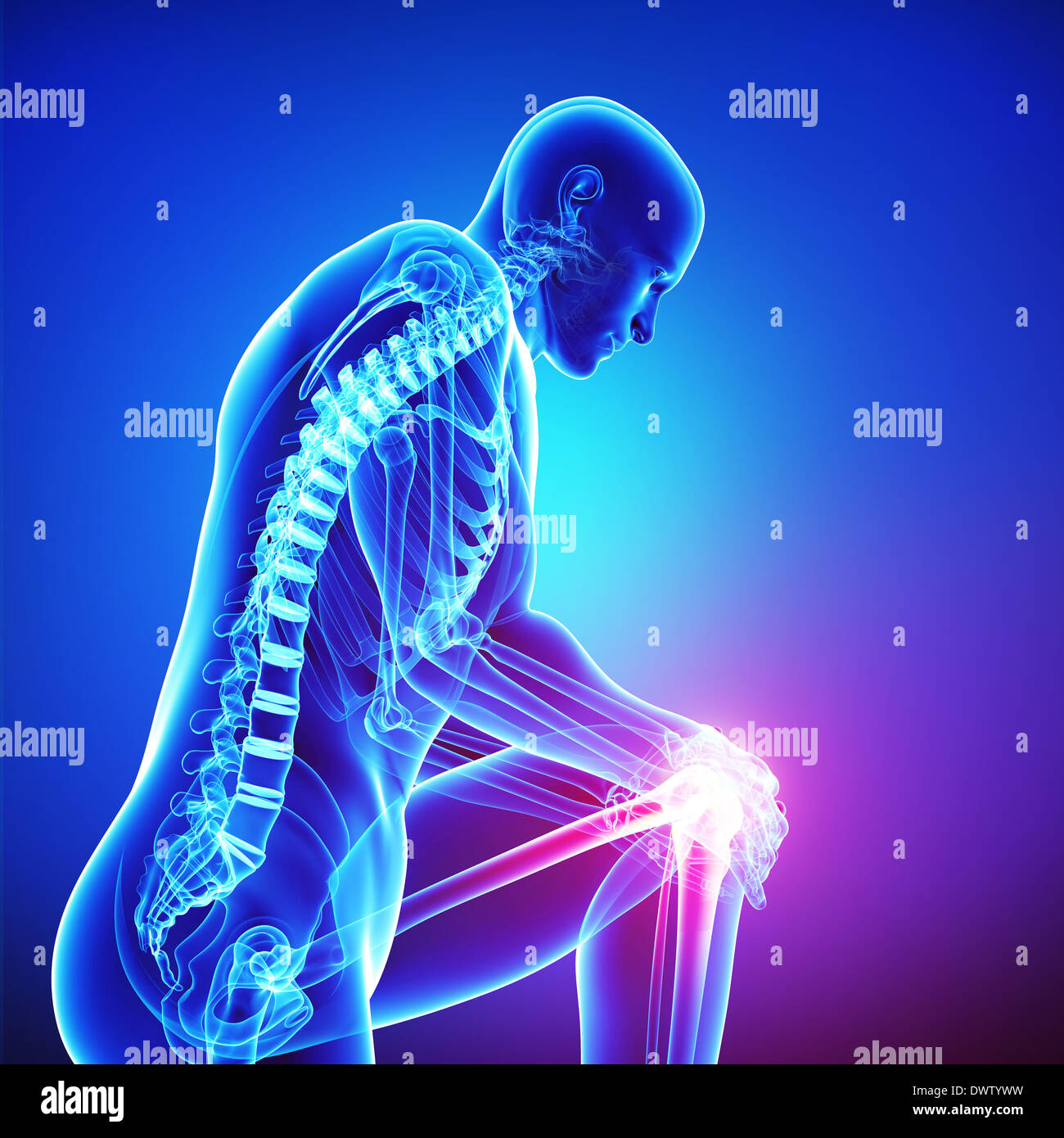 Pain knee man drawing Stock Photo - Alamy