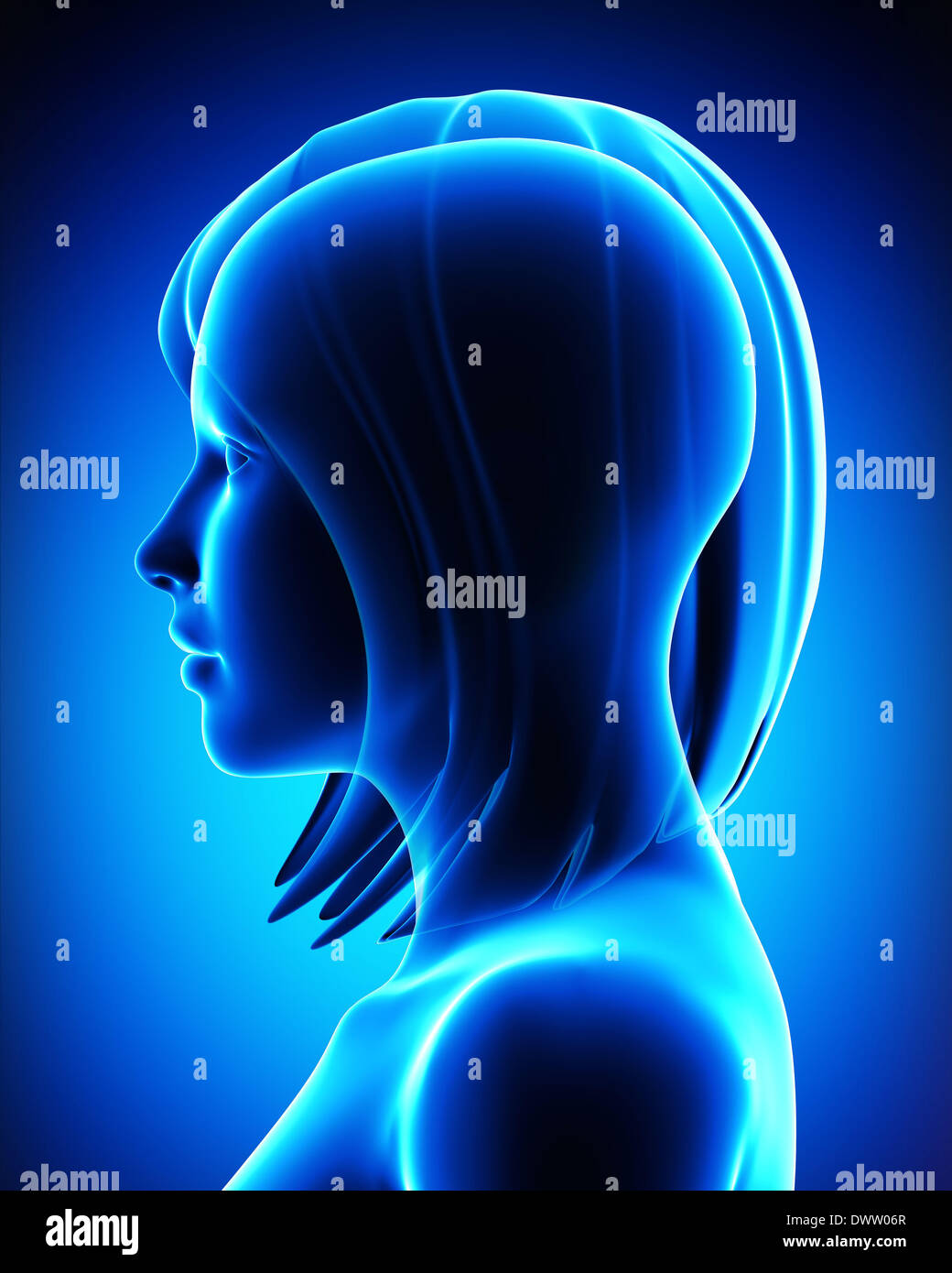 Drawing profile head woman hi-res stock photography and images - Alamy