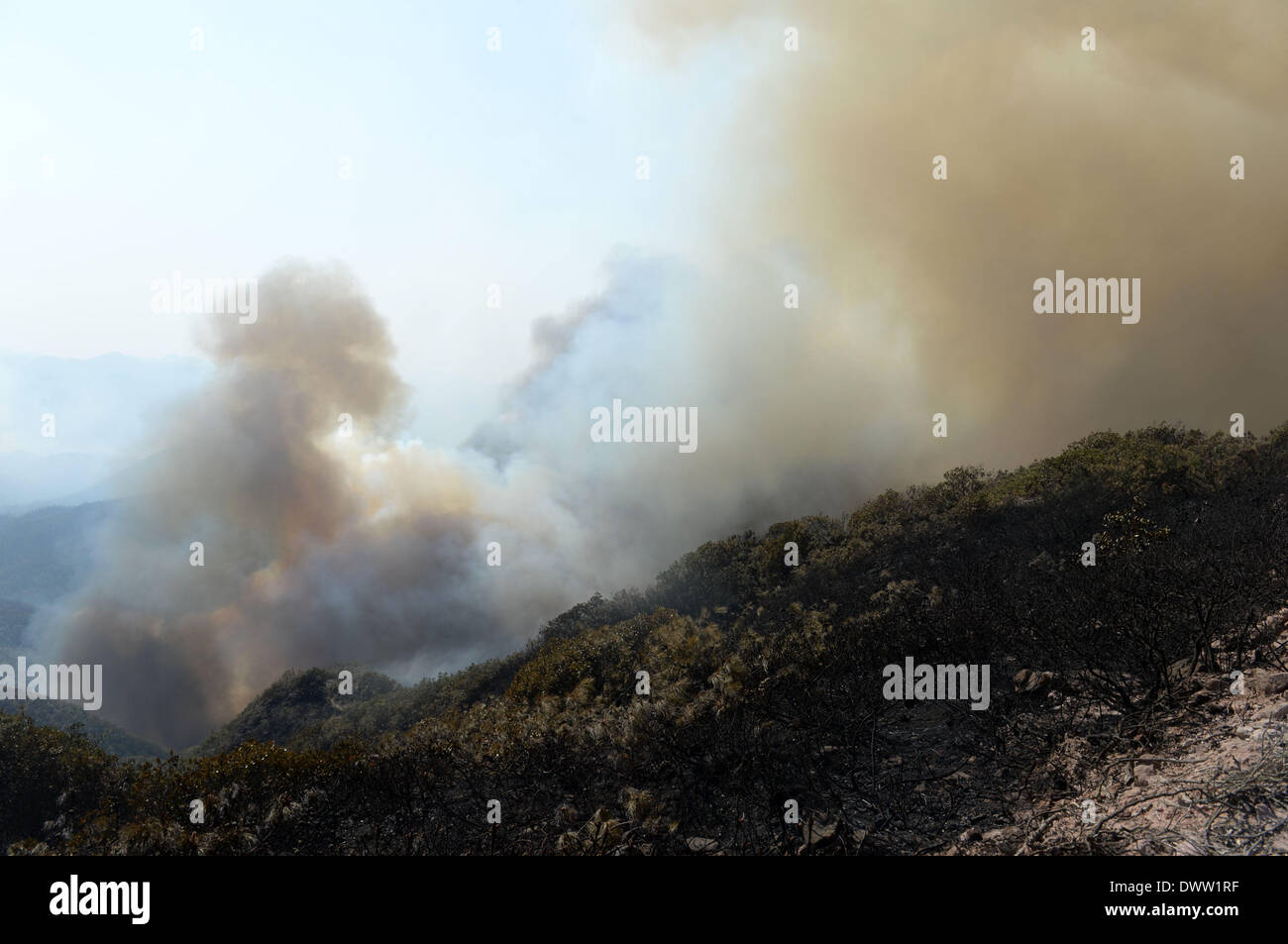 Lufeng county, Yunnan Province, China. 13 March 2014. Photo taken on ...