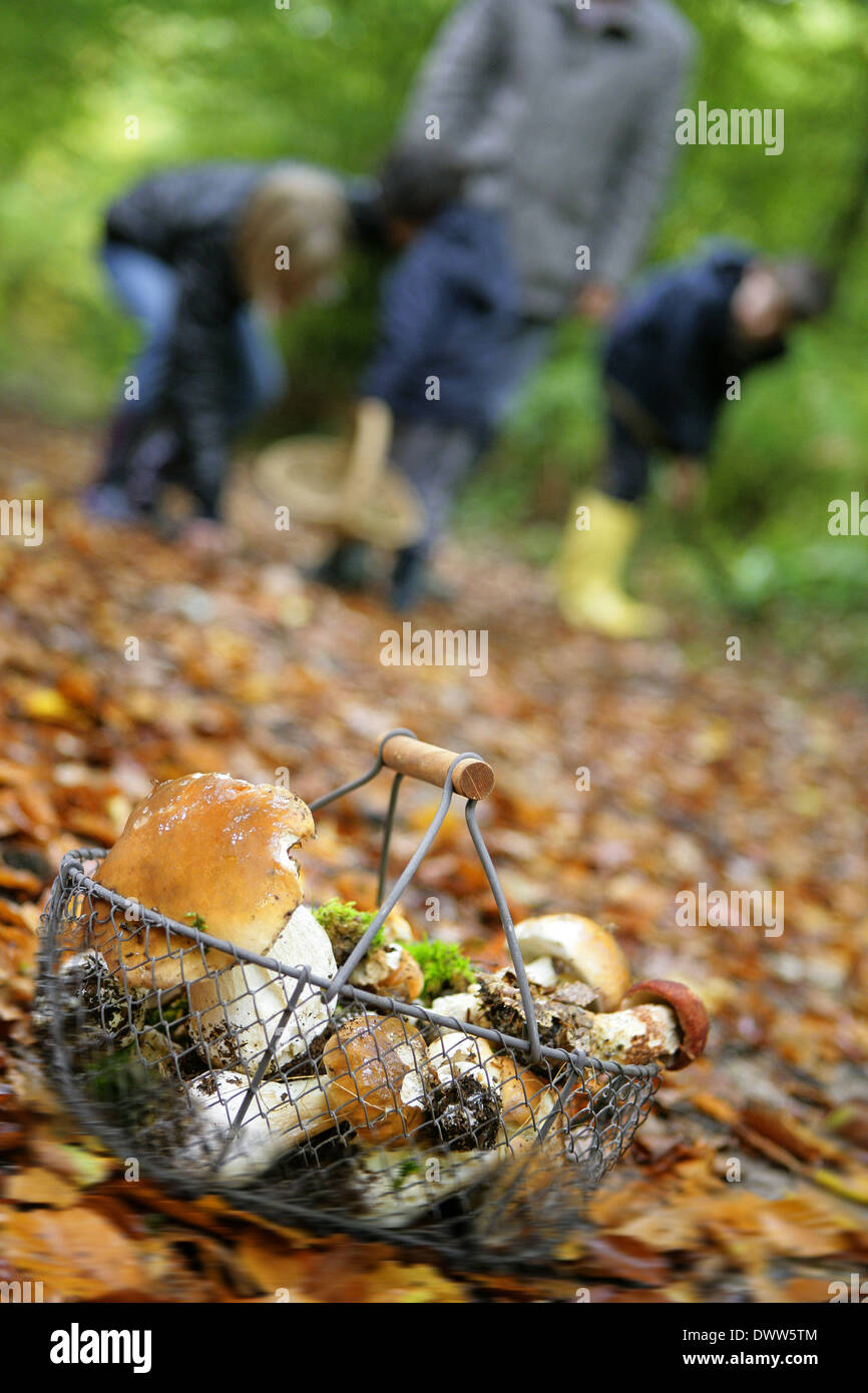 Outdoor forest family Stock Photo - Alamy