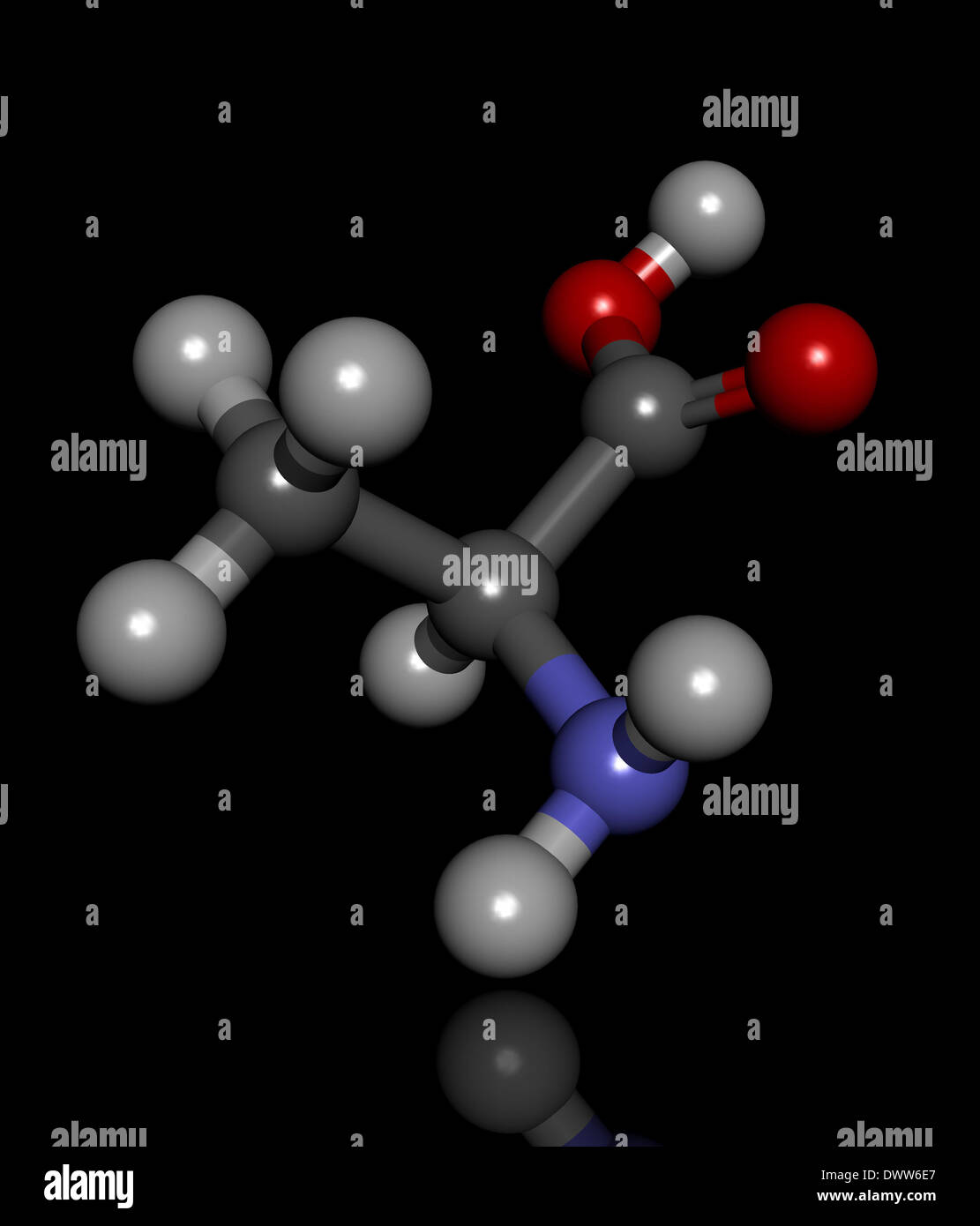 Alanine molecule hi-res stock photography and images - Alamy