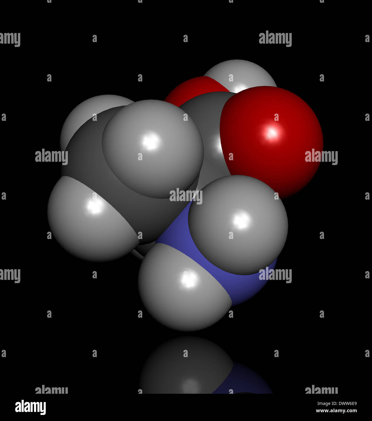 Alanine molecule hi-res stock photography and images - Alamy