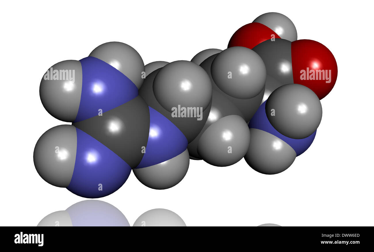 Arginin hi-res stock photography and images - Alamy