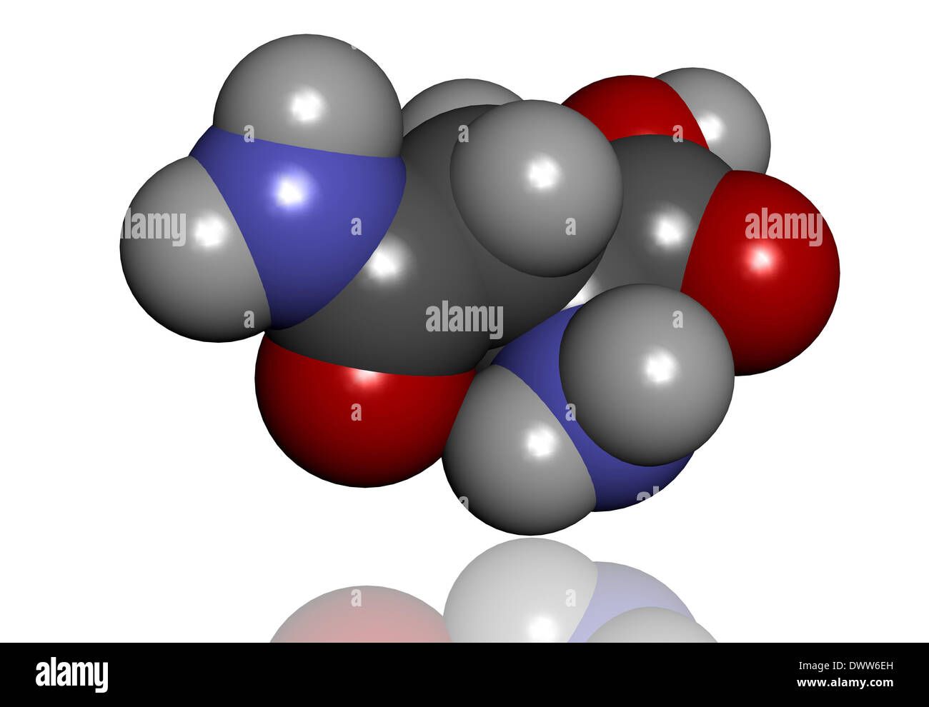 Asparagine hi-res stock photography and images - Alamy