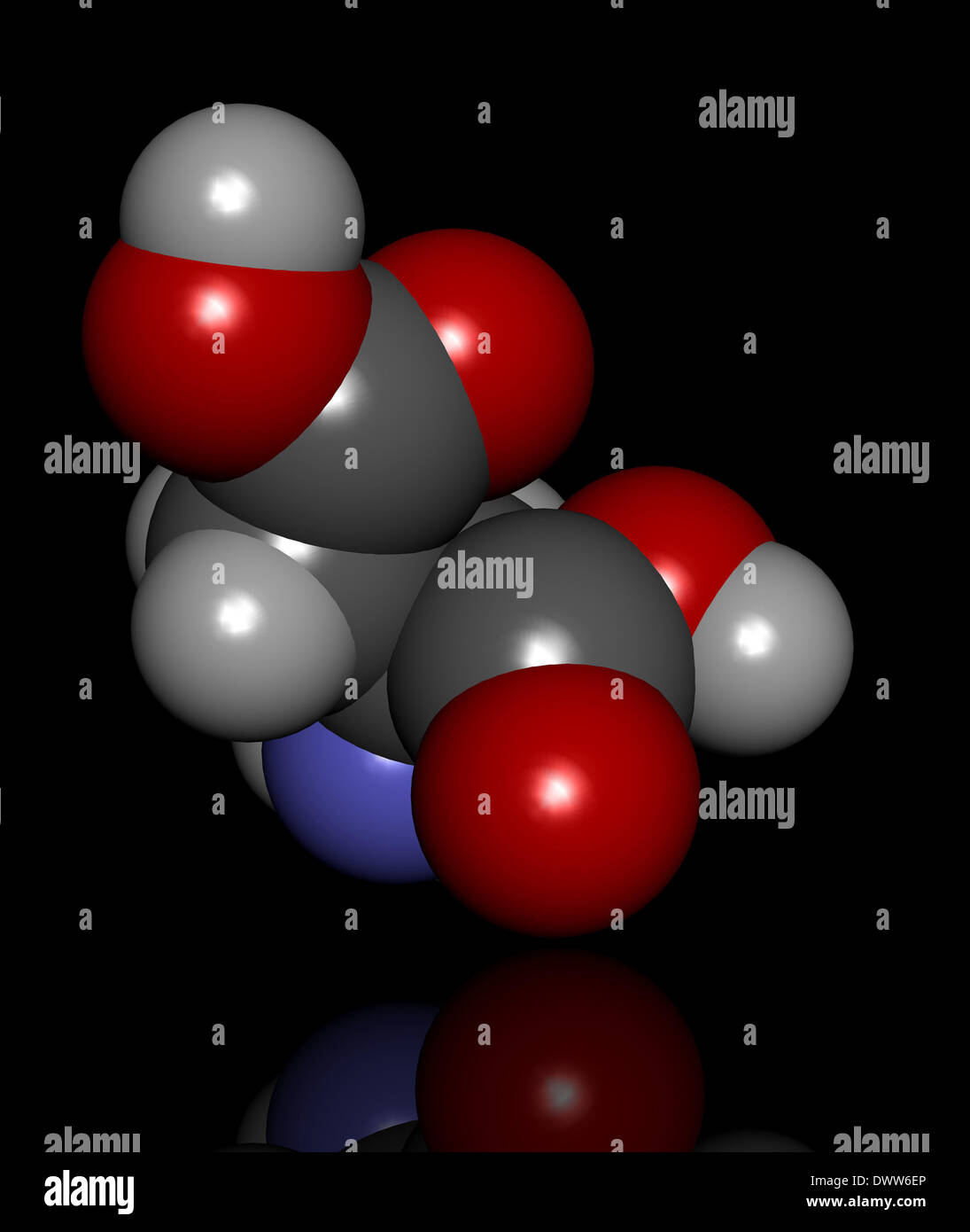 Aspartate hi-res stock photography and images - Alamy