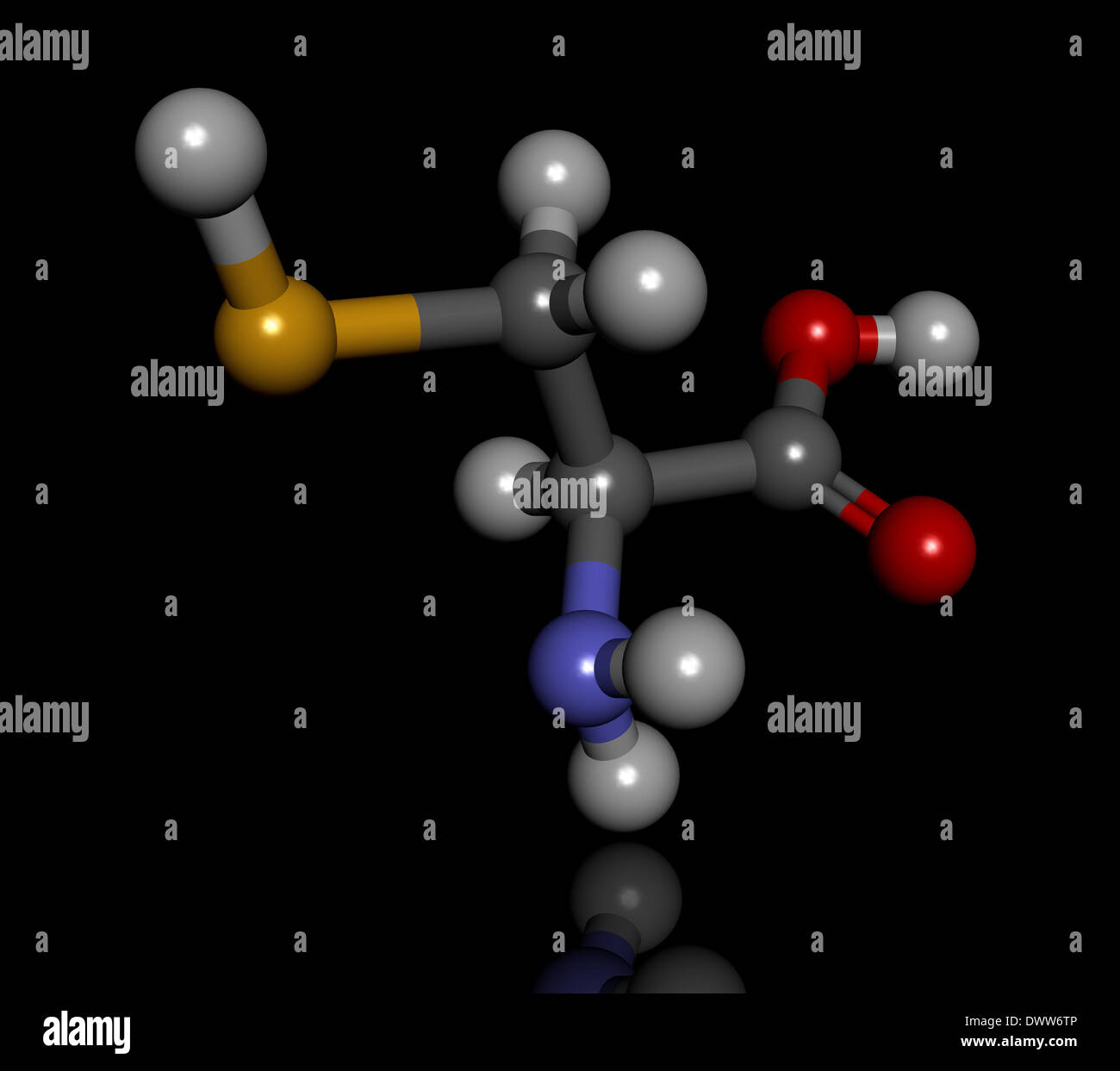 Cysteine amino acid molecule hi-res stock photography and images - Alamy