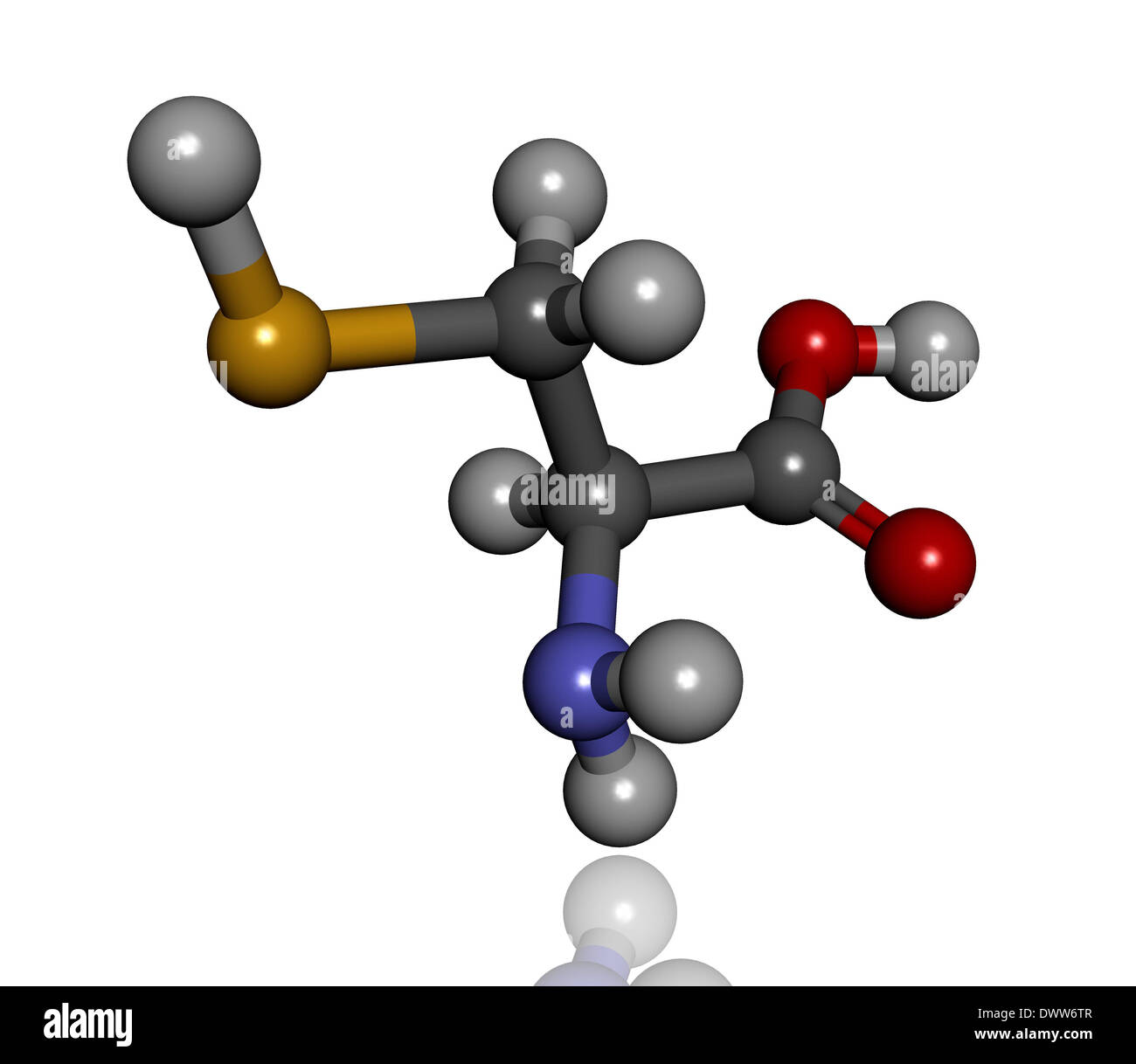 Cysteine amino acid molecule hi-res stock photography and images - Alamy