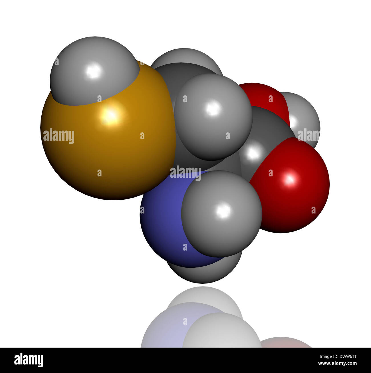 Cysteine amino acid molecule hi-res stock photography and images - Alamy