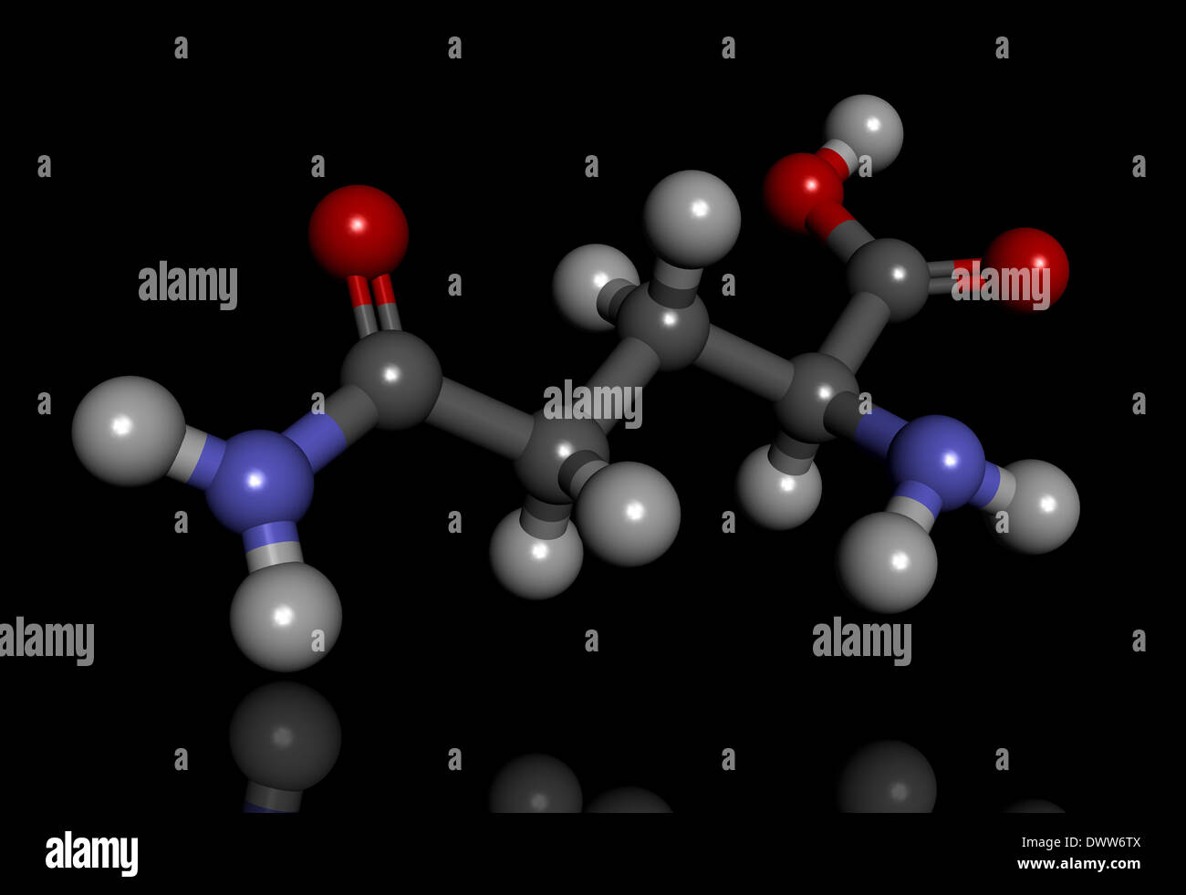 Glutamine molecule hi-res stock photography and images - Alamy