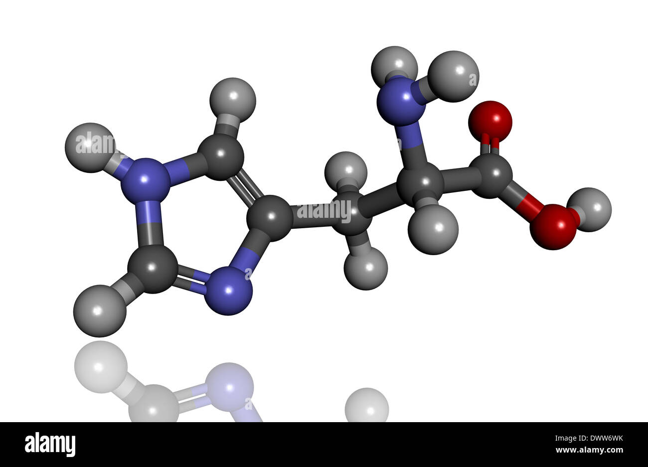 Histidine hi-res stock photography and images - Alamy