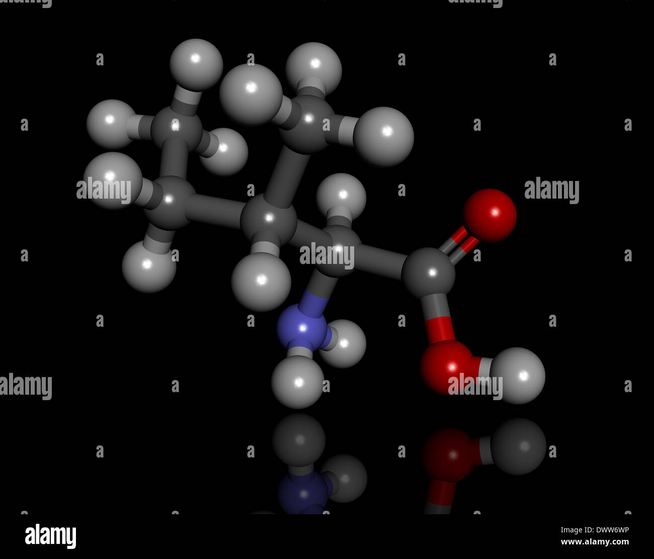 Isoleucine hi-res stock photography and images - Alamy