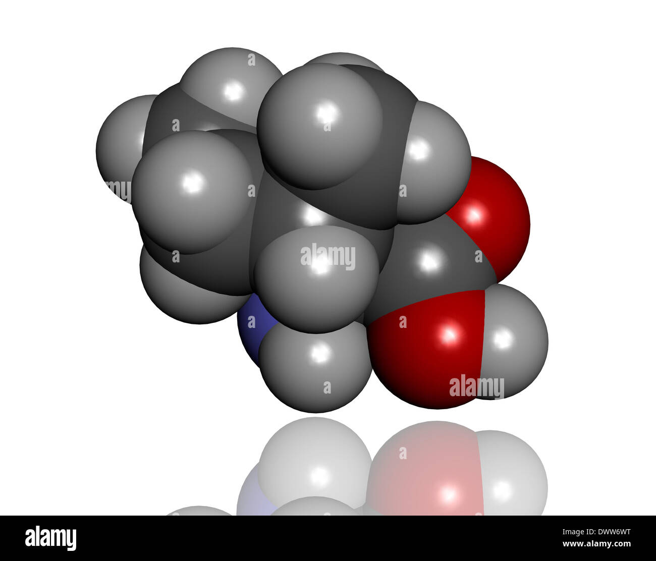 Isoleucine hi-res stock photography and images - Alamy