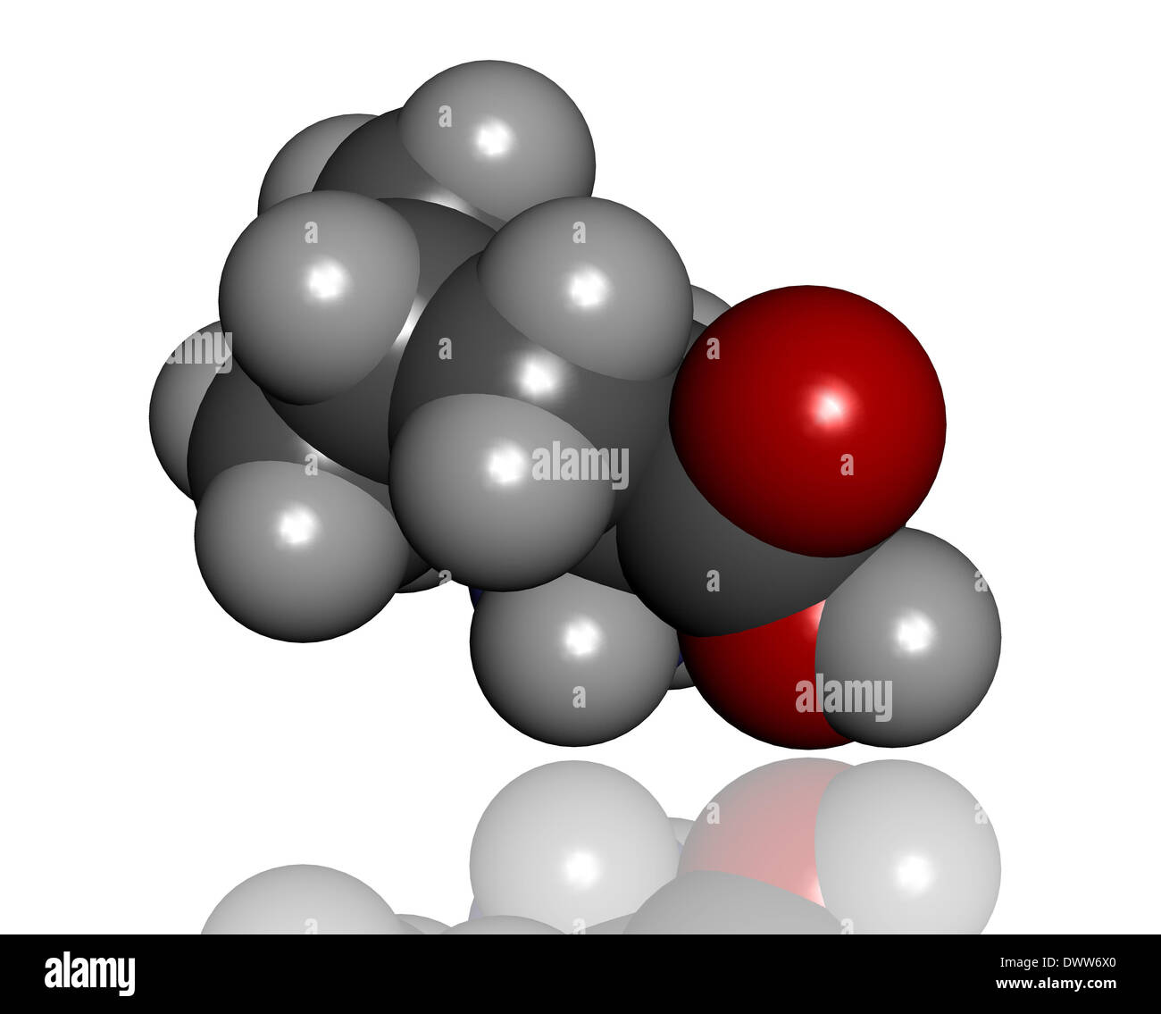 Leucine hi-res stock photography and images - Alamy