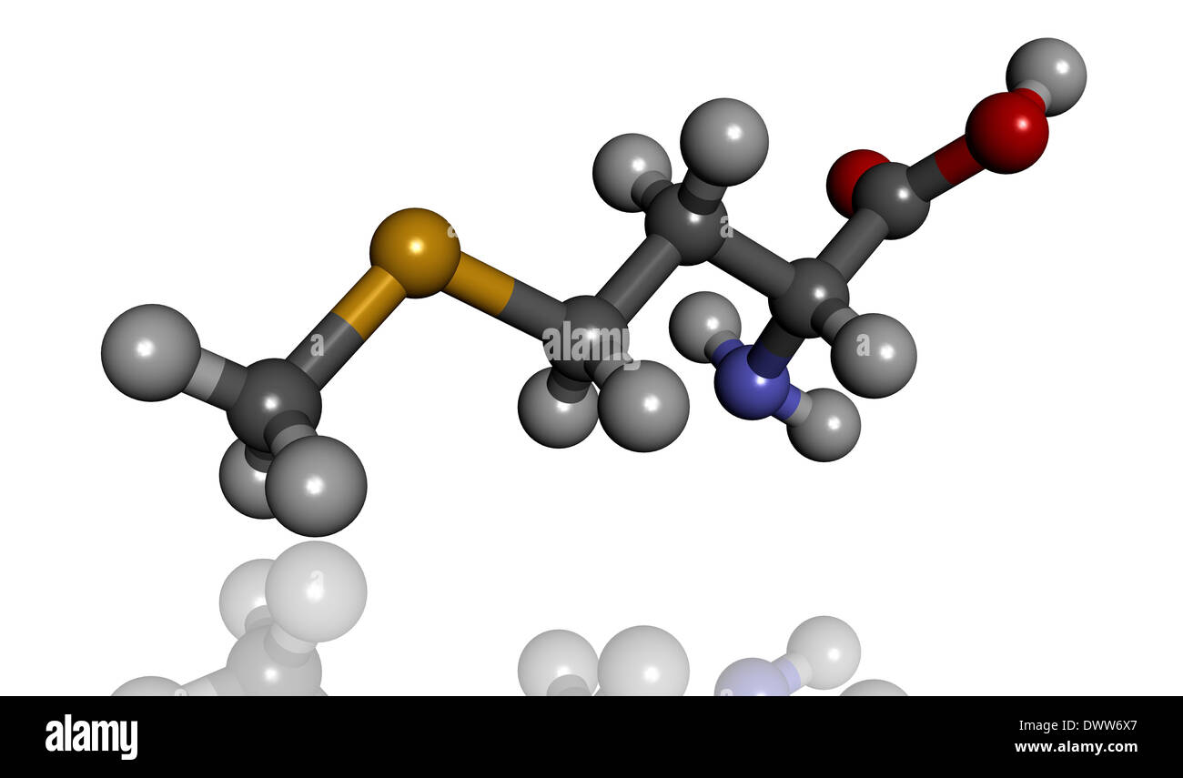 Methionine hi-res stock photography and images - Alamy