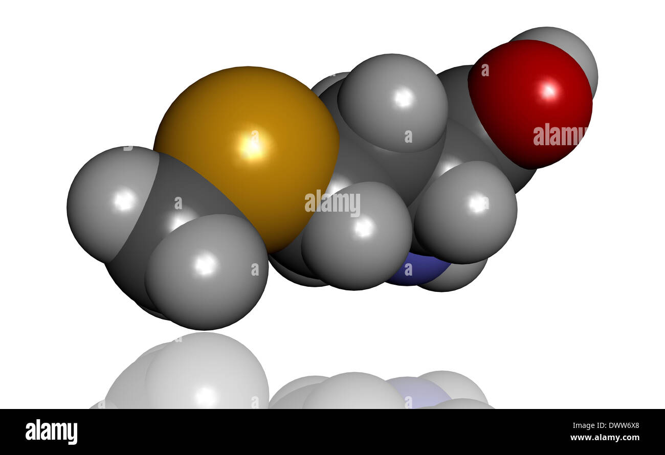 Methionine hi-res stock photography and images - Alamy