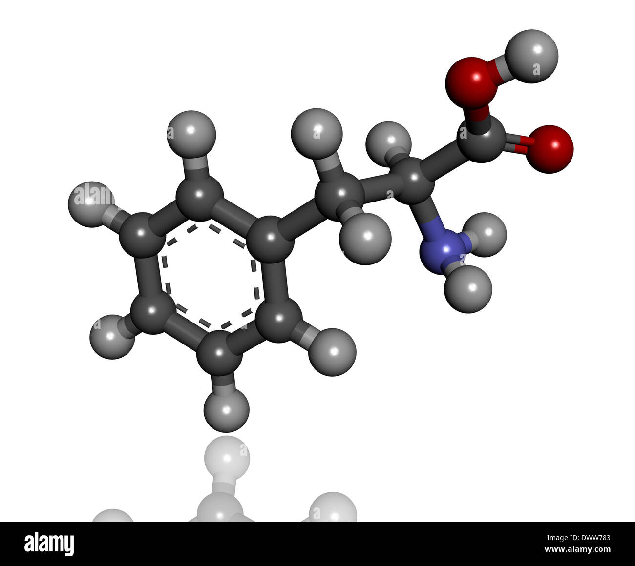 Phenylalanine hi-res stock photography and images - Alamy