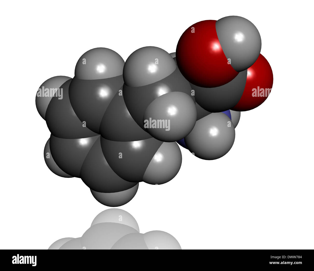 Phenylalanine hi-res stock photography and images - Alamy
