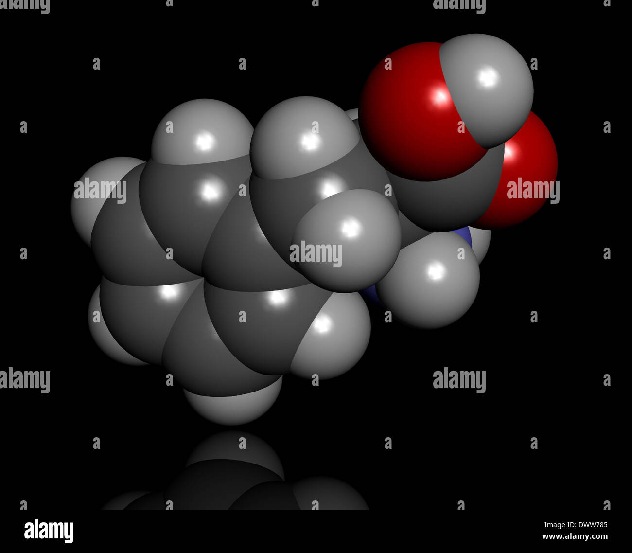 Phenylalanine hi-res stock photography and images - Alamy