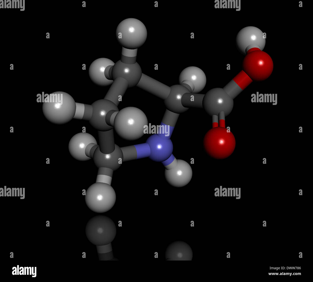 Proline amino acid molecule hi-res stock photography and images - Alamy
