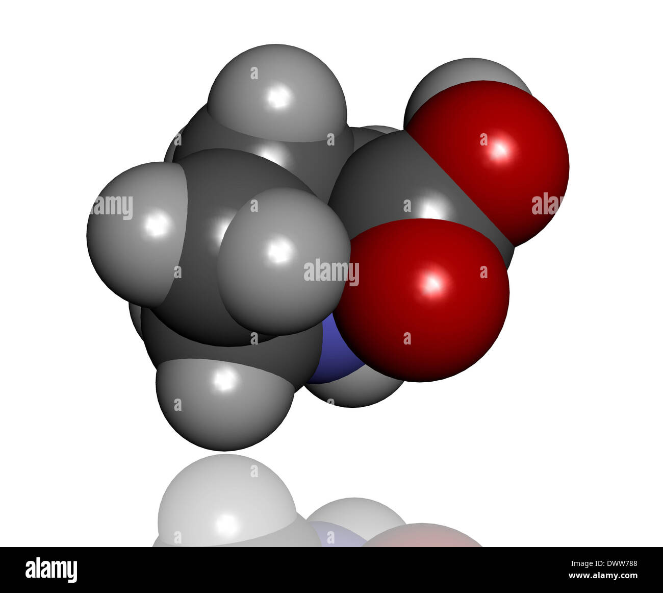 Proline amino acid molecule hi-res stock photography and images - Alamy