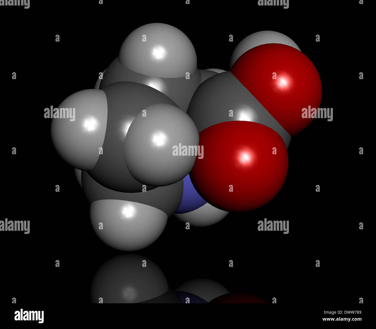 Proline amino acid molecule hi-res stock photography and images - Alamy