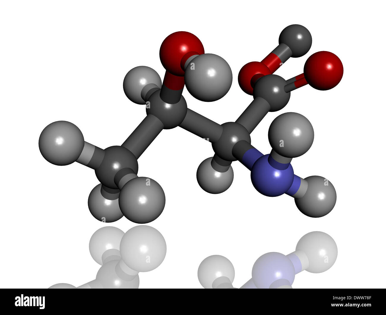 Threonine amino acid molecule hi-res stock photography and images - Alamy
