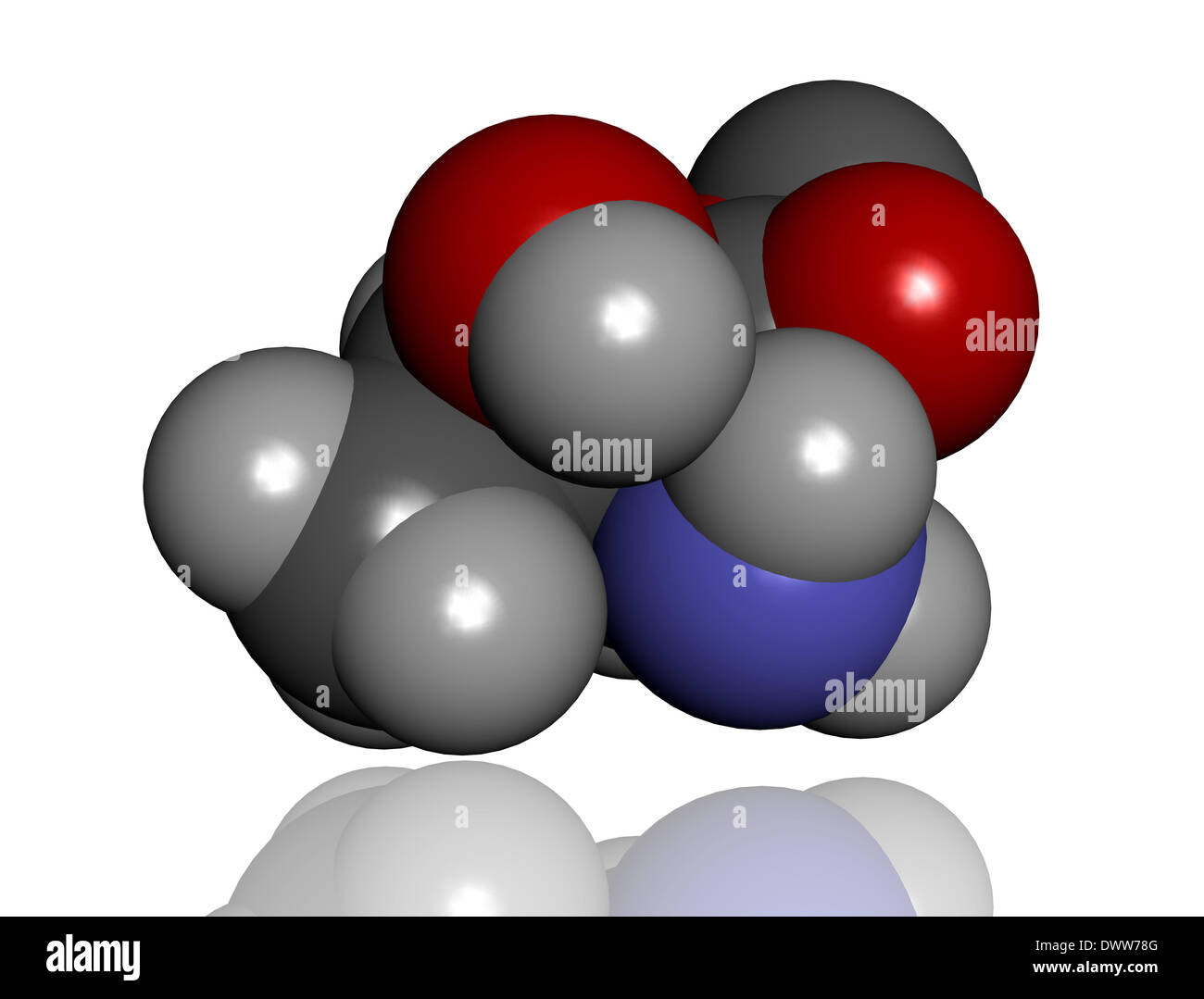 Threonine amino acid molecule hi-res stock photography and images - Alamy