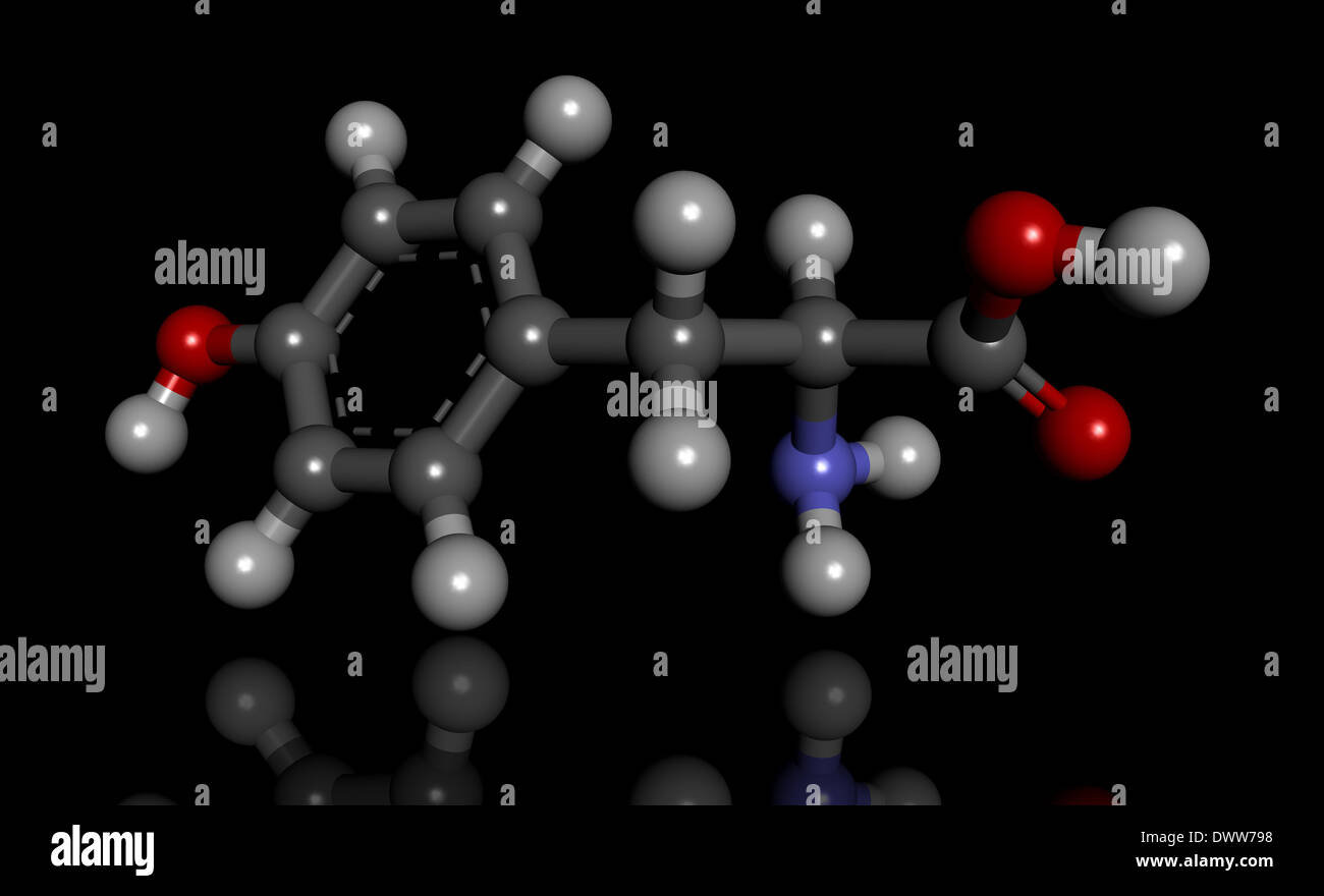 Tyrosine amino acid molecule hi-res stock photography and images - Alamy