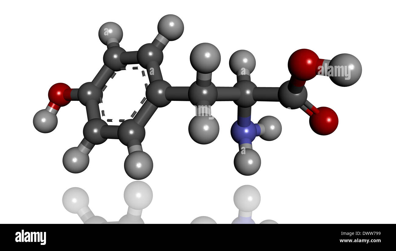 Tyrosine hi-res stock photography and images - Alamy