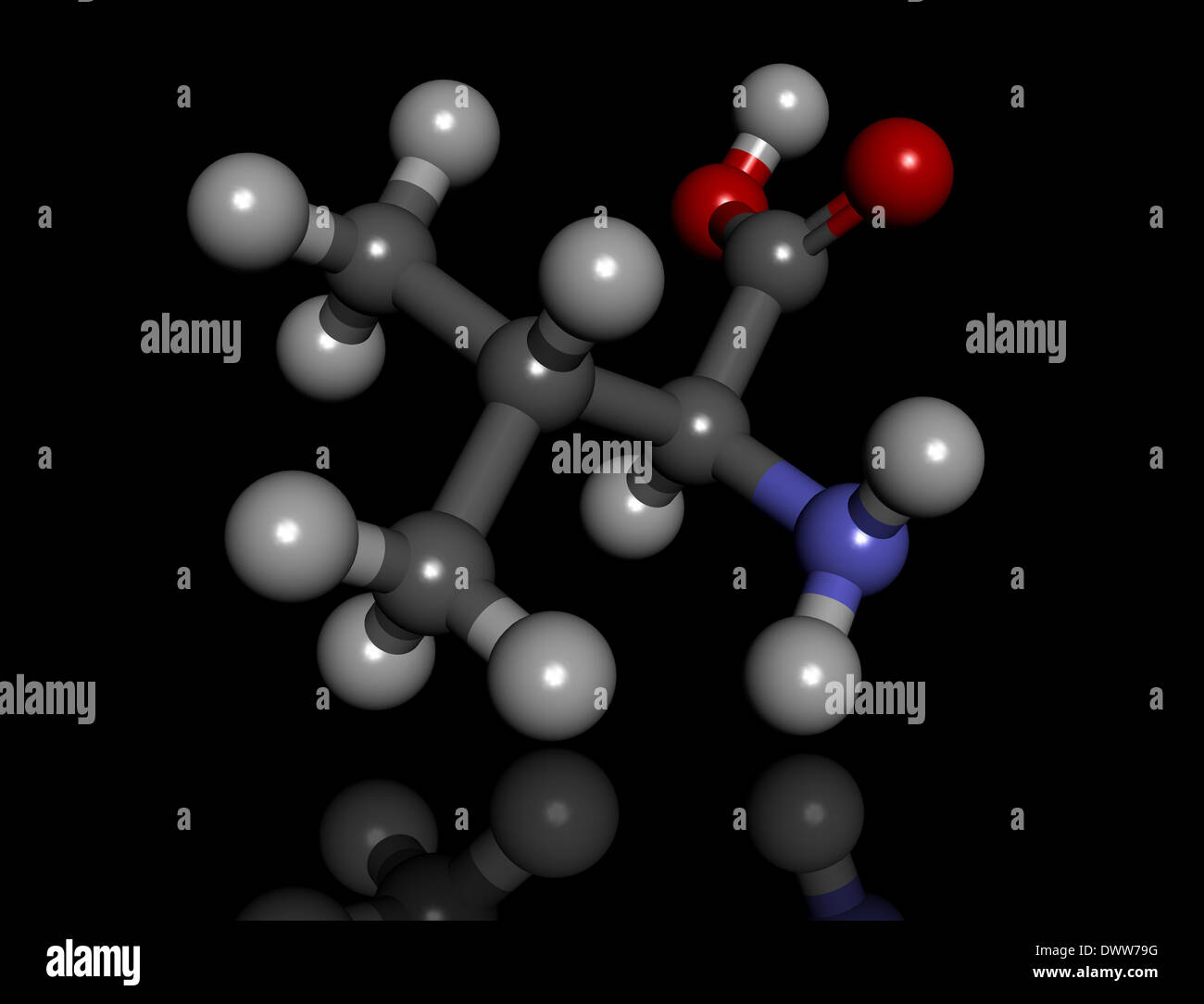 Valine hi-res stock photography and images - Alamy