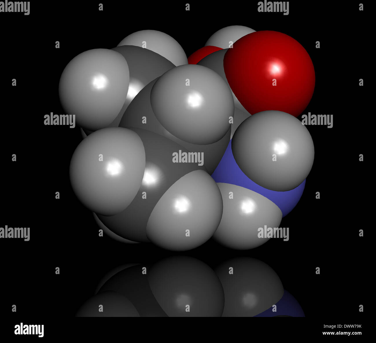 Valine hi-res stock photography and images - Alamy