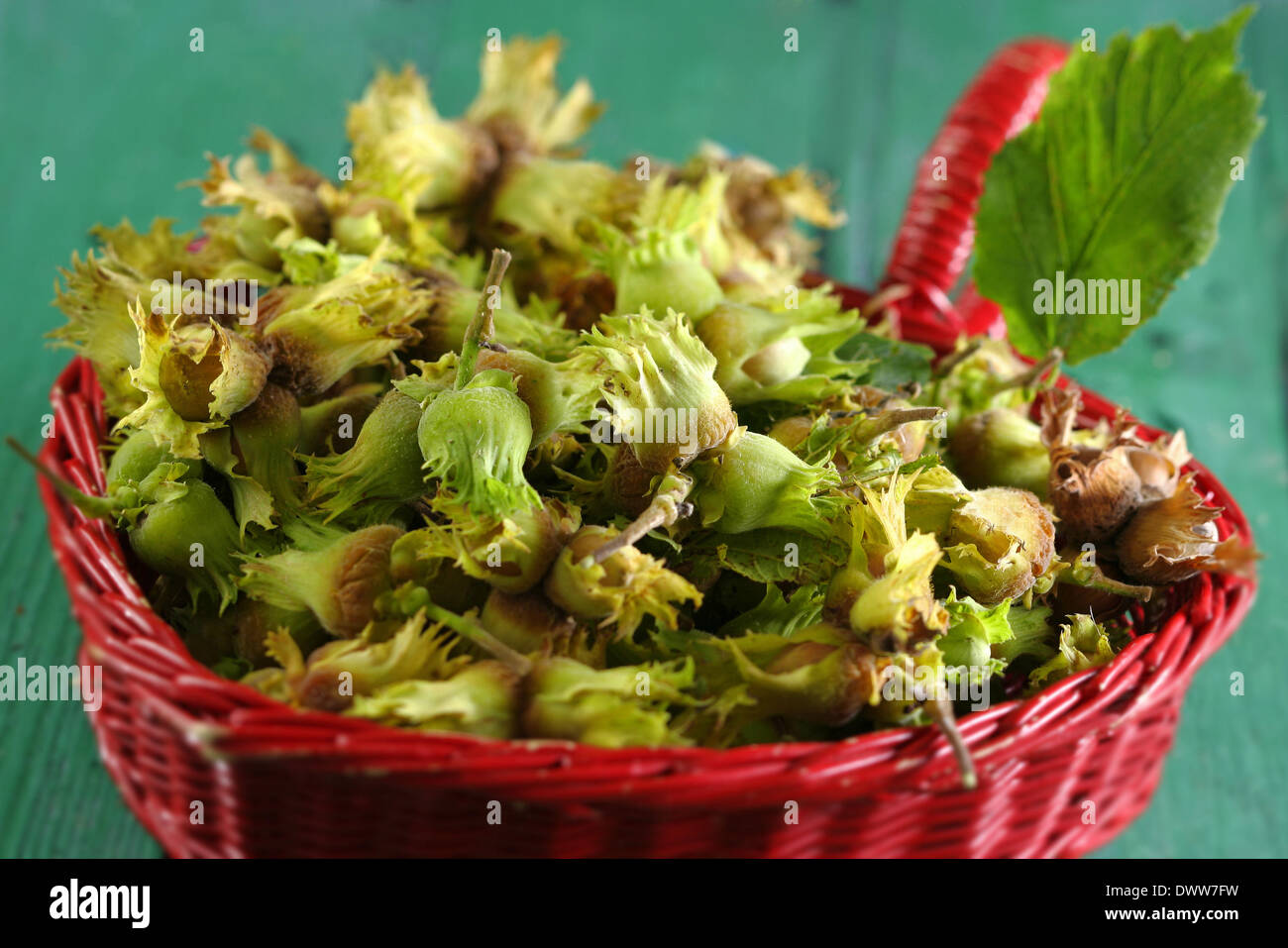 Pluck fruit hi-res stock photography and images - Alamy
