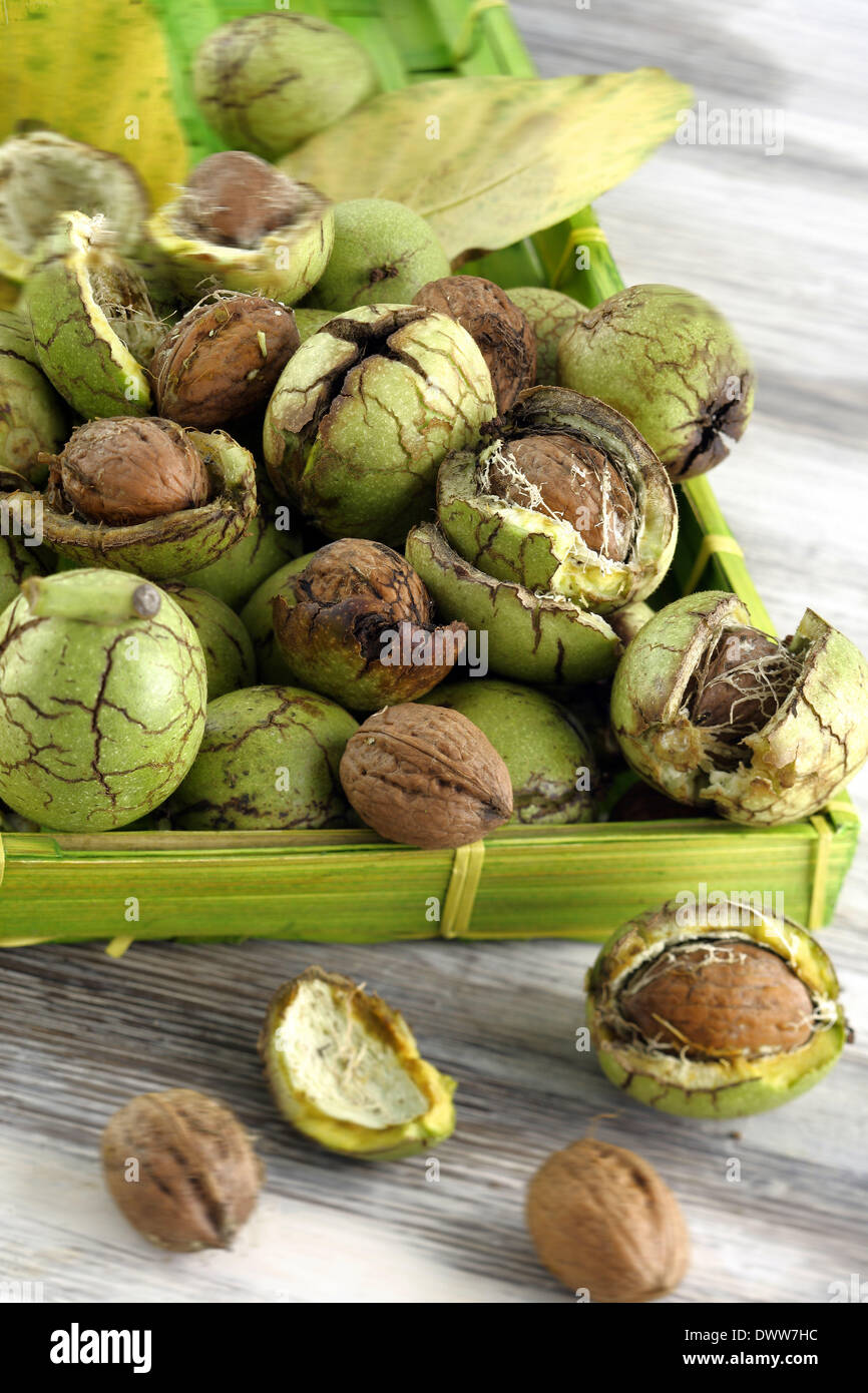 English walnut fruit Stock Photo - Alamy
