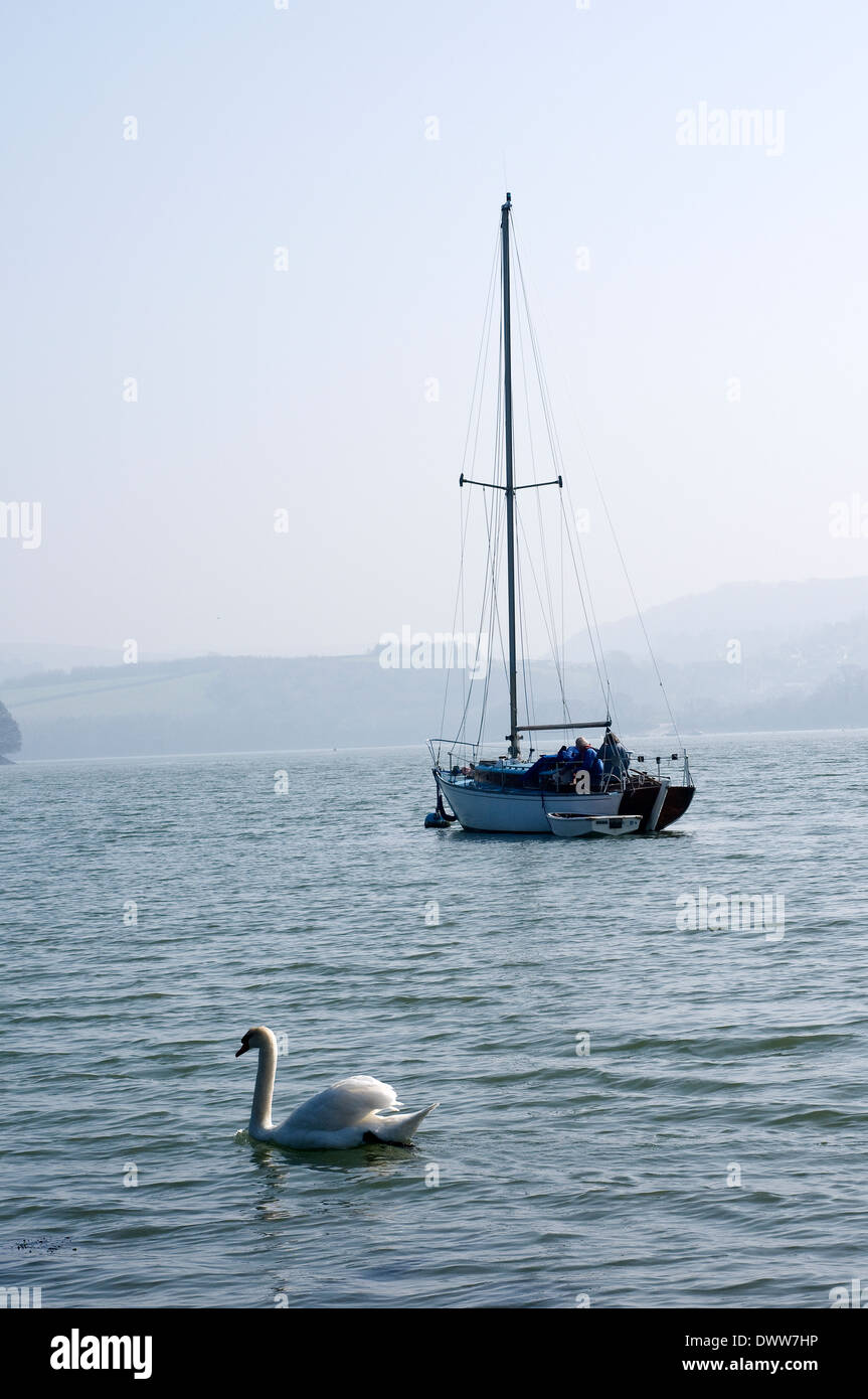 swan on river dart at stoke gabriel devon, canvas, collage, concrete ...