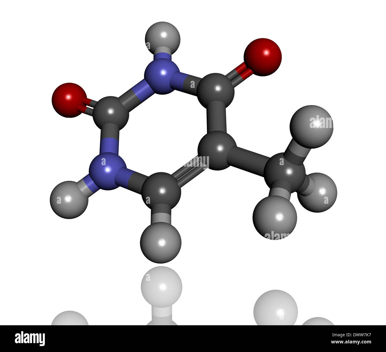 Thymine hi-res stock photography and images - Alamy