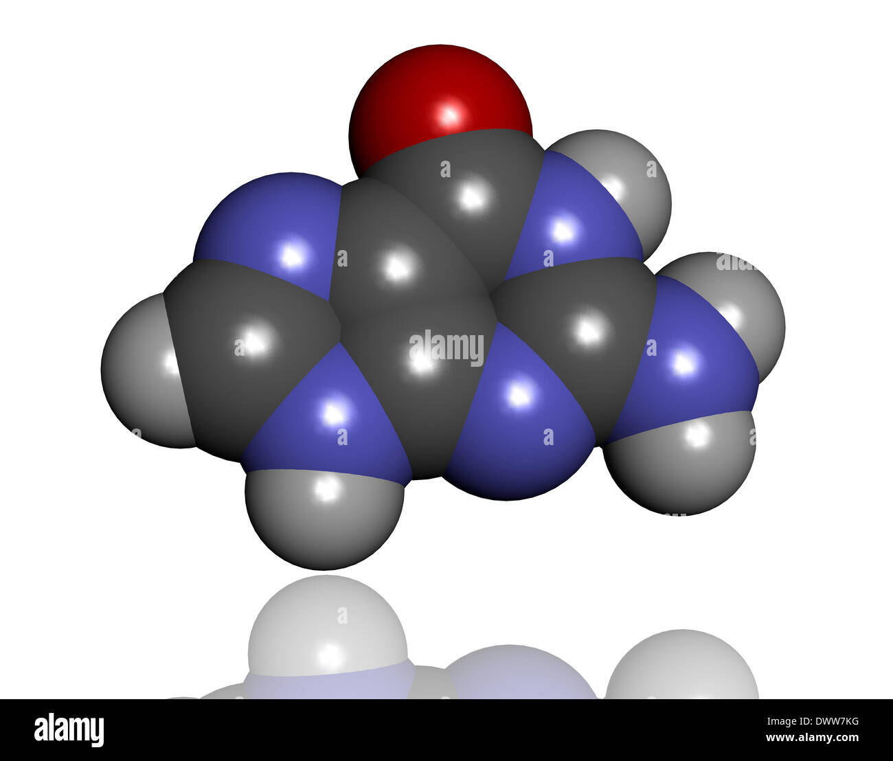 Guanine hi-res stock photography and images - Alamy