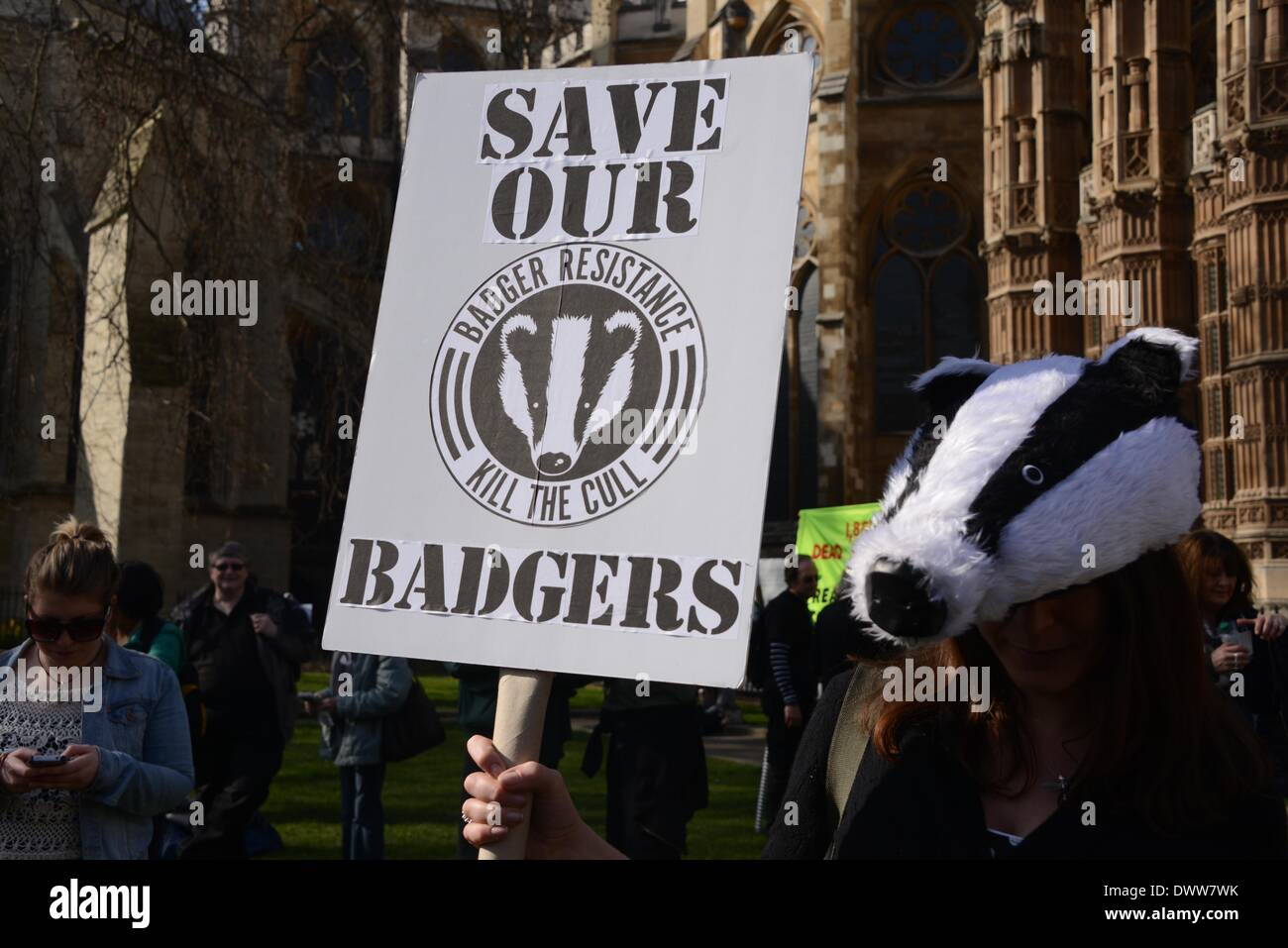London, UK. 13th Mar, 2014. Badger Lovers gather outside Parliament to ...