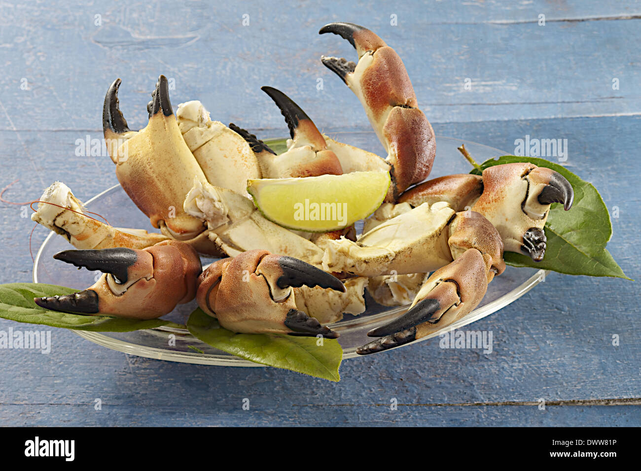 Crab anatomy hi-res stock photography and images - Alamy