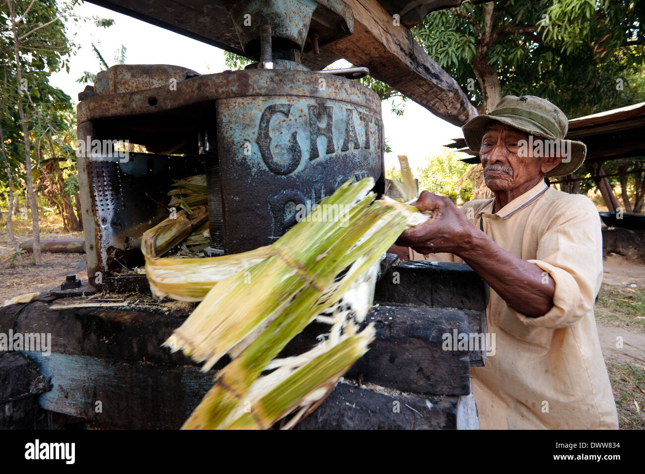 Moises Ibarra feeds the Chattanooga machine to press out the juice from ...