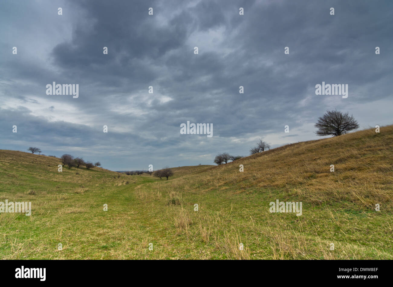 Dark clouds over the prairie path surrounded by a small hills dunes and ...