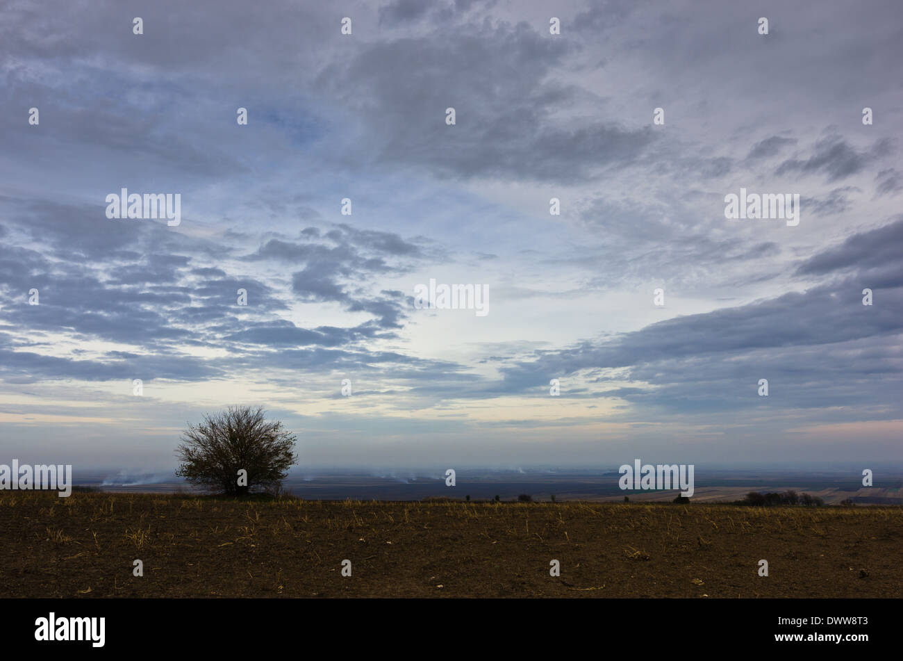 Heavy clouds over the flat prairie agricultural land with a lonely tree ...