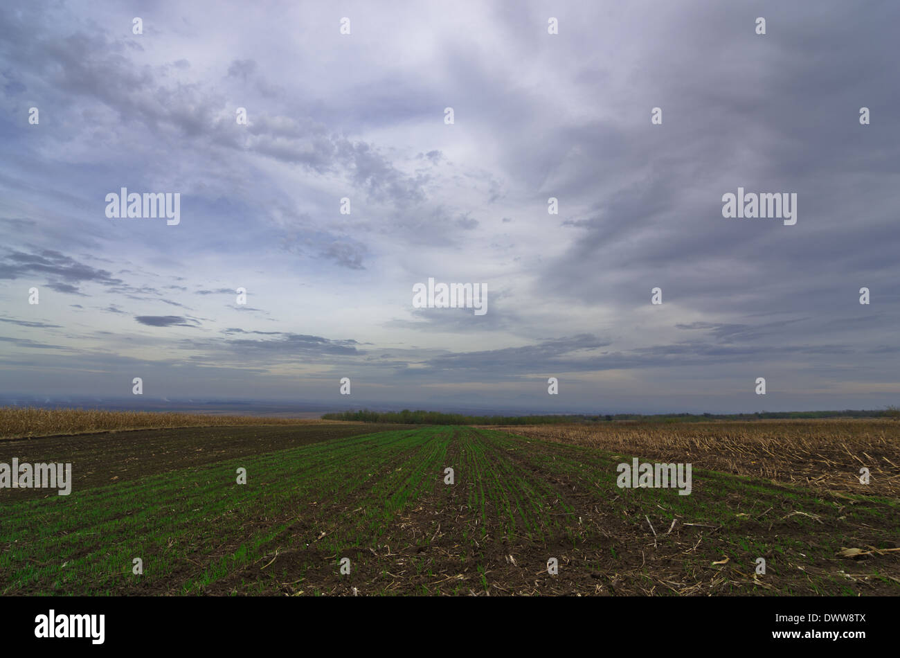 Heavy clouds over the flat prairie agricultural land at late autumn ...