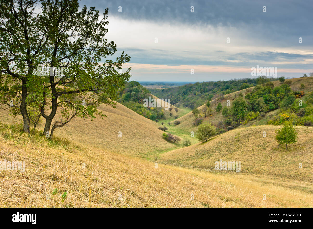 Valley between small hills under dark clouds Stock Photo - Alamy