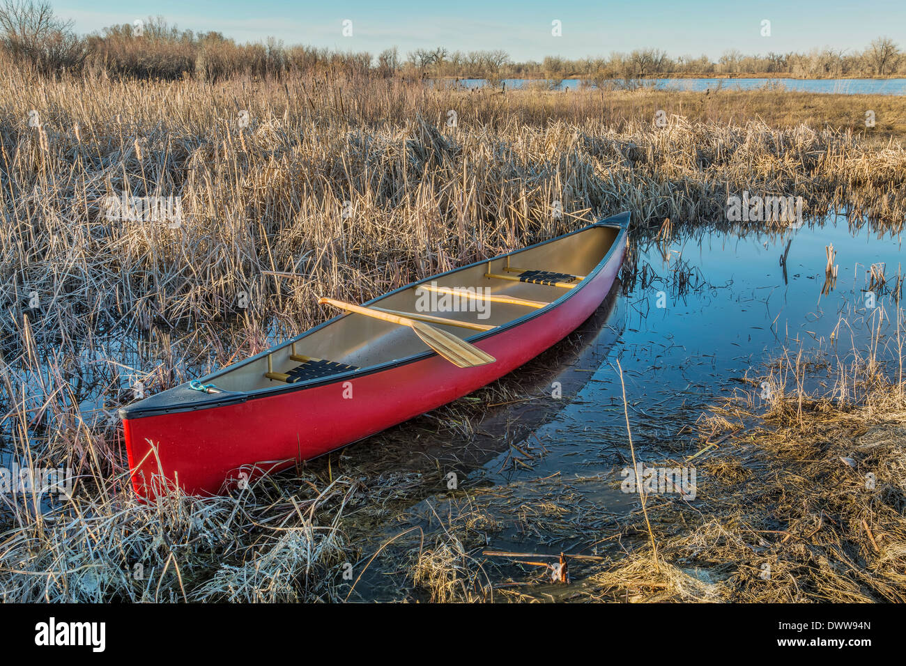 Wetland spring hi-res stock photography and images - Alamy