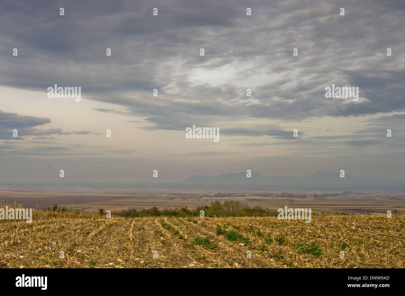 Flat terrain hi-res stock photography and images - Alamy